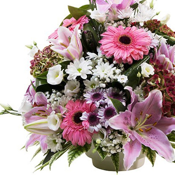 Floristes Gras – Más de 100 años a su servicio